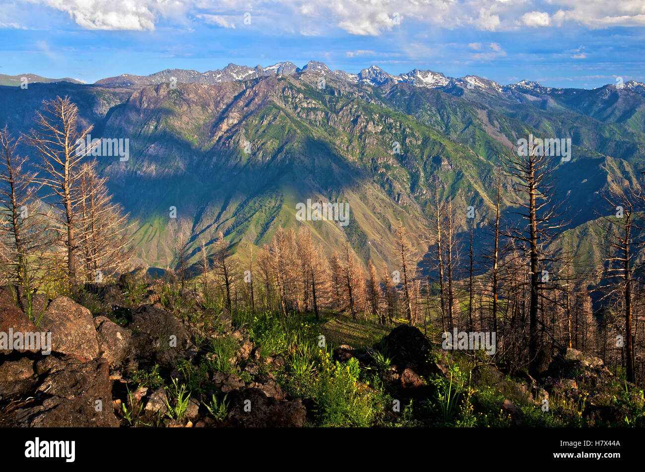 Seven Devils viewed across Snake River Canyon from Hat Point, Oregon ...