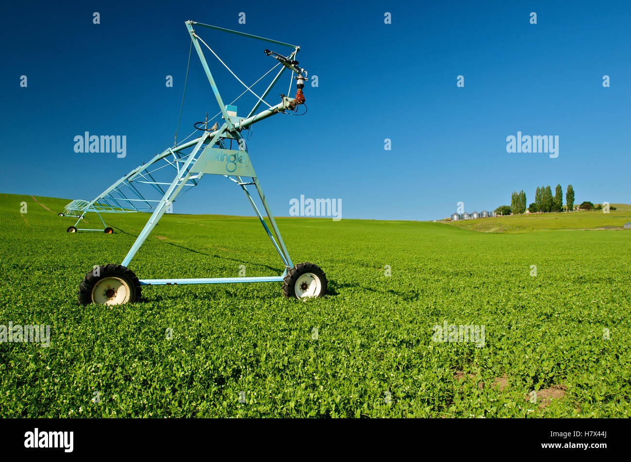 Irrigation sprinkler in field, Enterprise, Oregon Stock Photo - Alamy