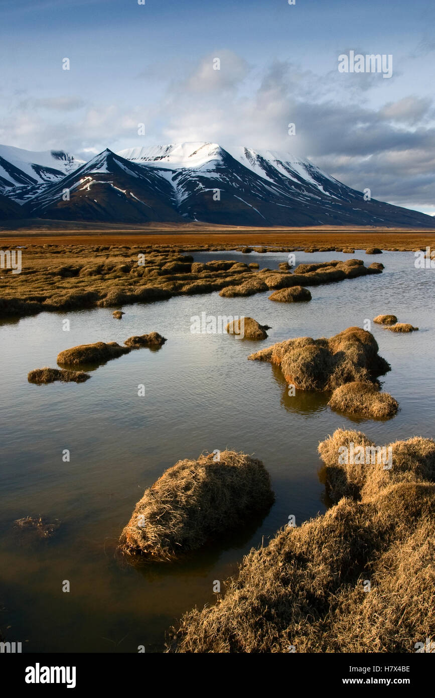 Arctic tundra with shallow pond and mountains, Adventdalen, Svalbard ...