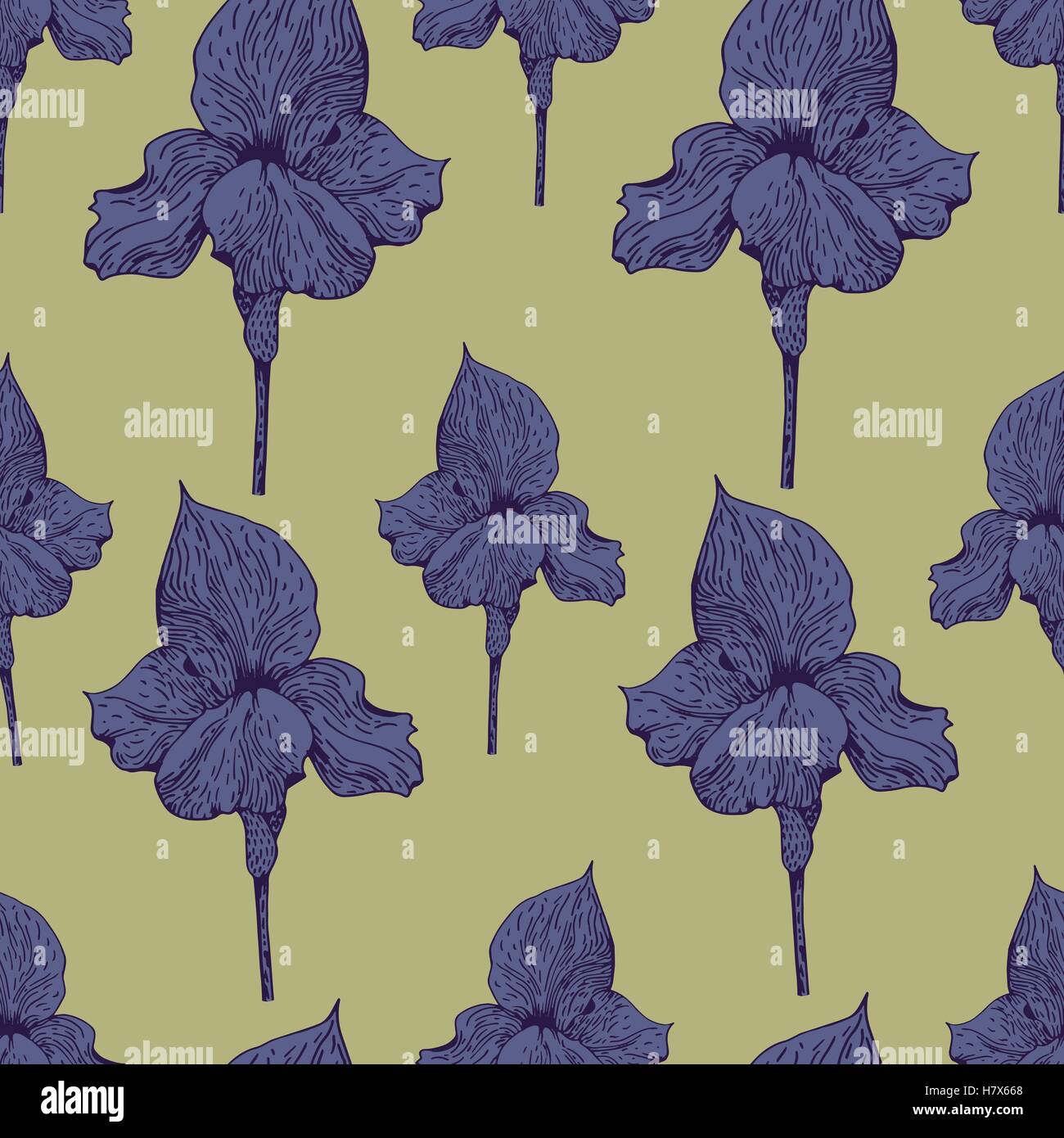 Vector seamless pattern with iris. Vintage style. Hand drawn ...