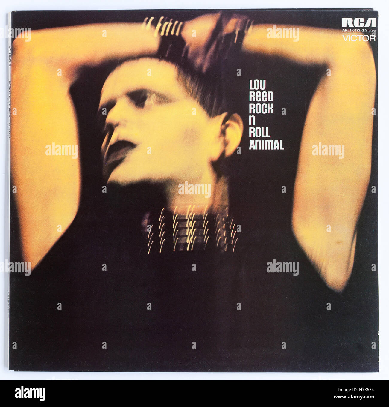 Cover art for Rock n Roll Animal, 1974 live album by Lou Reed on RCA Records - Editorial use ...
