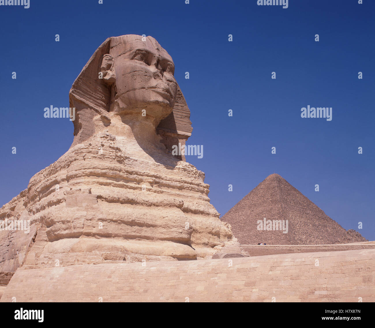 The Sphinx and Pyramid, Giza, Cairo, Egypt Stock Photo - Alamy