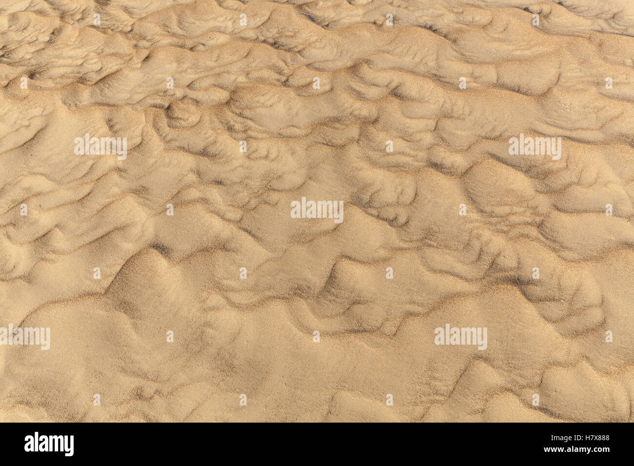 Sea sand.Detail of beige sandy beach background, pattern on the sea ...