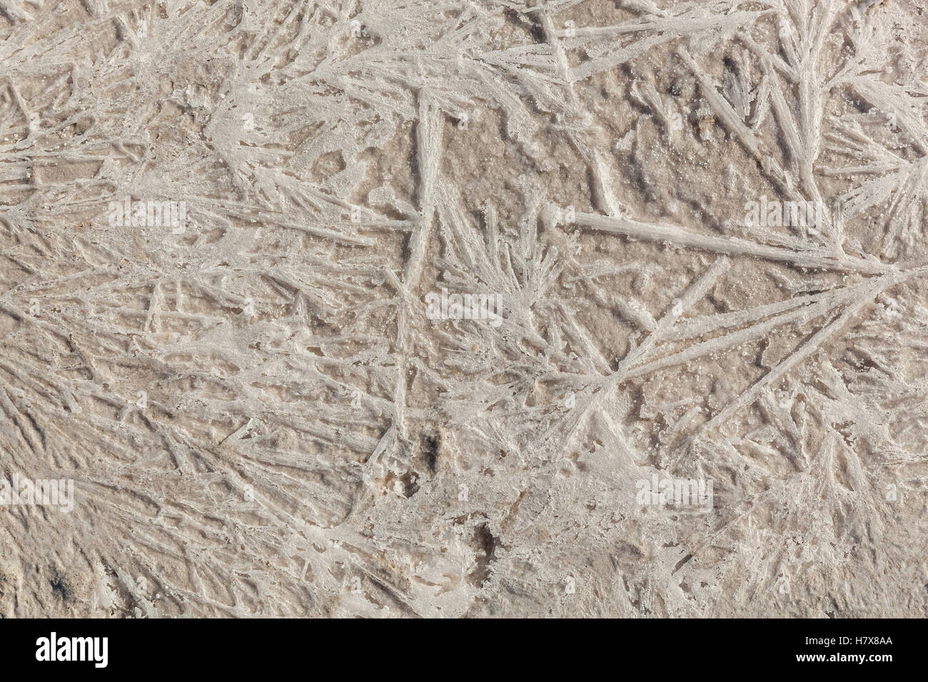 Salt pattern hi-res stock photography and images - Alamy