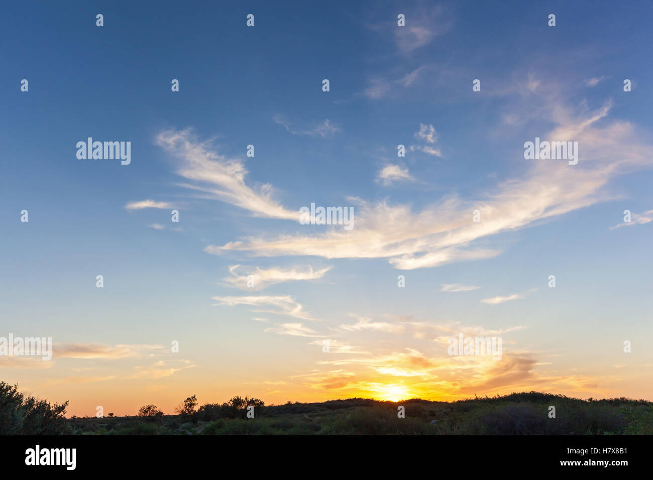 Golden sunset.Golden beautiful sunset on the horizon and blue sky with ...