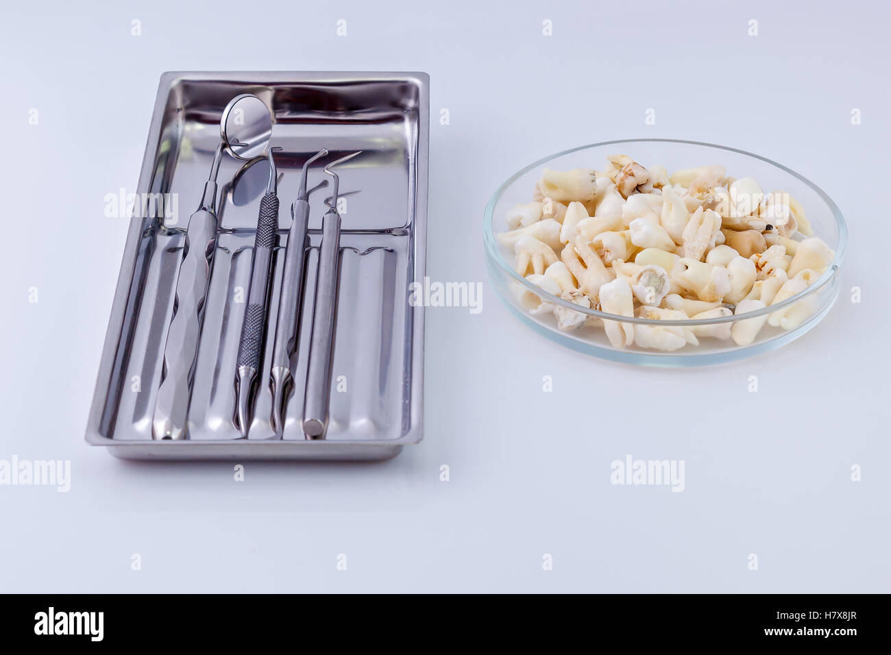 Dental instruments and teeth. Dentista s instrument in silver dish and ...