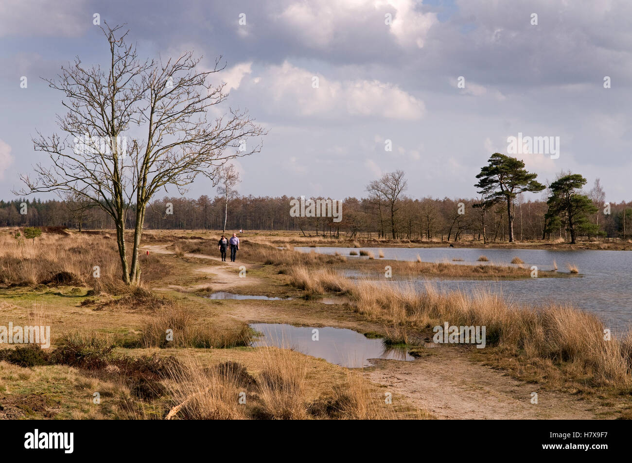 People walking along a small pond, Appelscha, Friesland, Netherlands ...