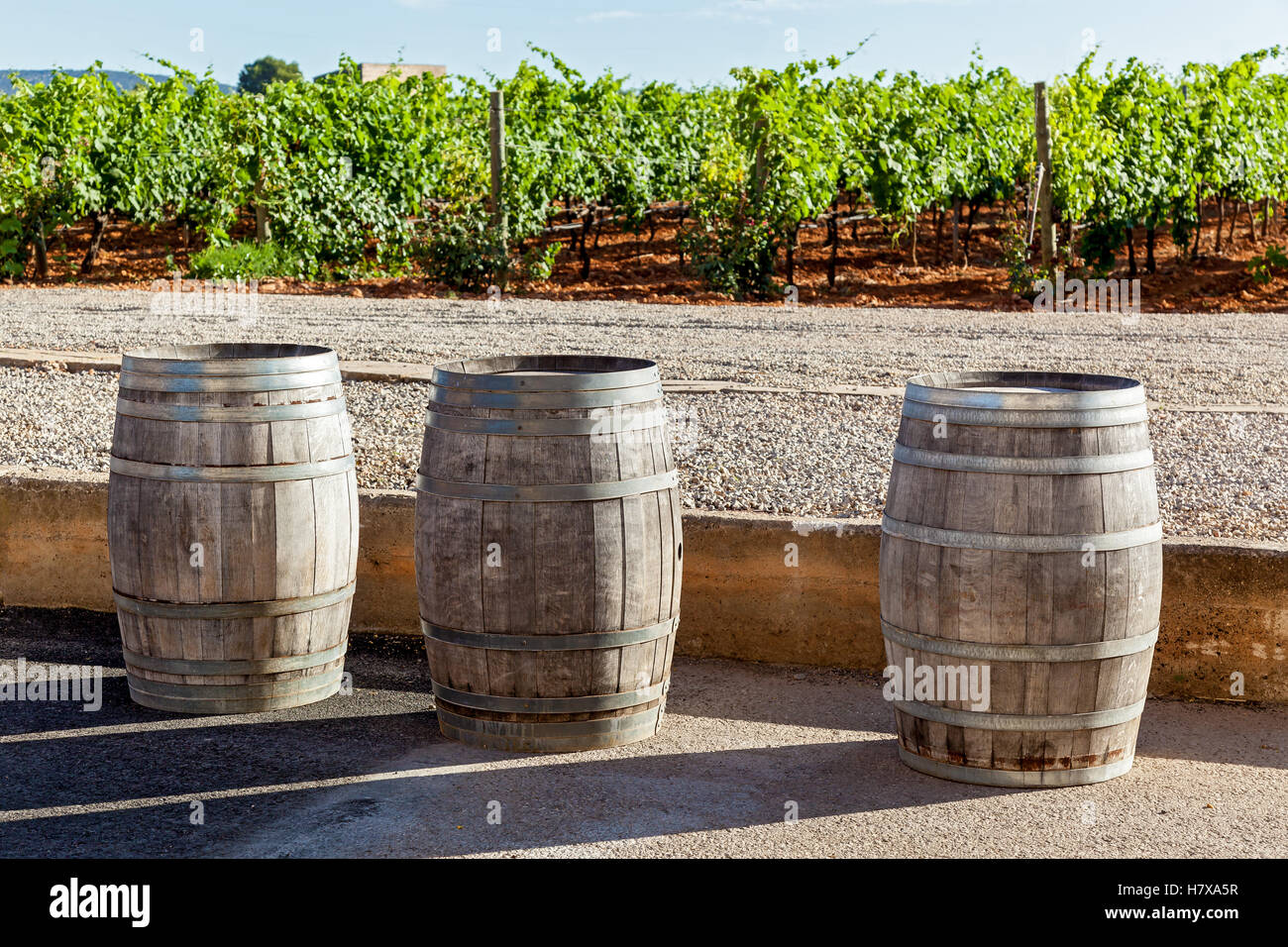 Three pipes for wine fermentation are standing on the background of ...