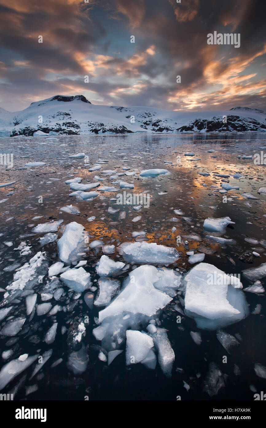 Brash ice at sunset, Cierva Cove, Antarctic Peninsula, Antarctica Stock ...
