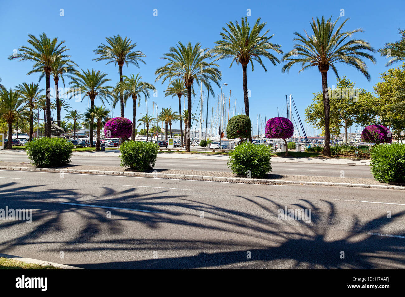 Most beautiful views in mallorca hi-res stock photography and images ...