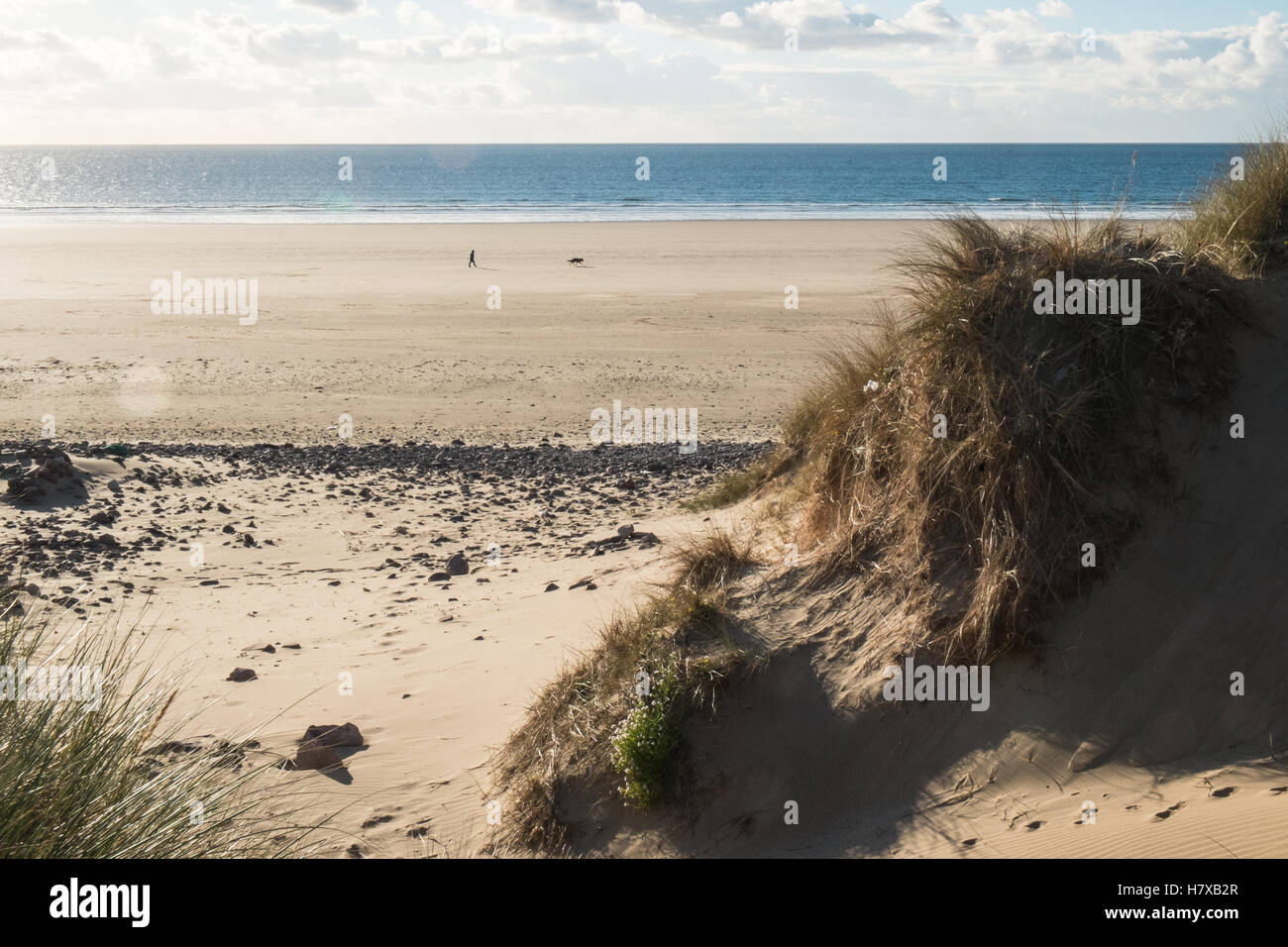 Beach worms hi-res stock photography and images - Alamy