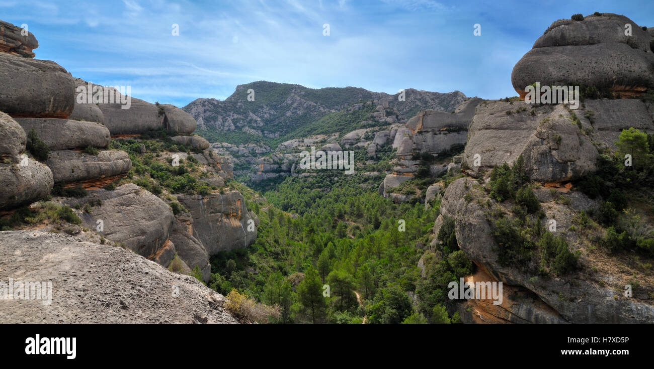 Canyon and coniferous forest, Spain Stock Photo - Alamy