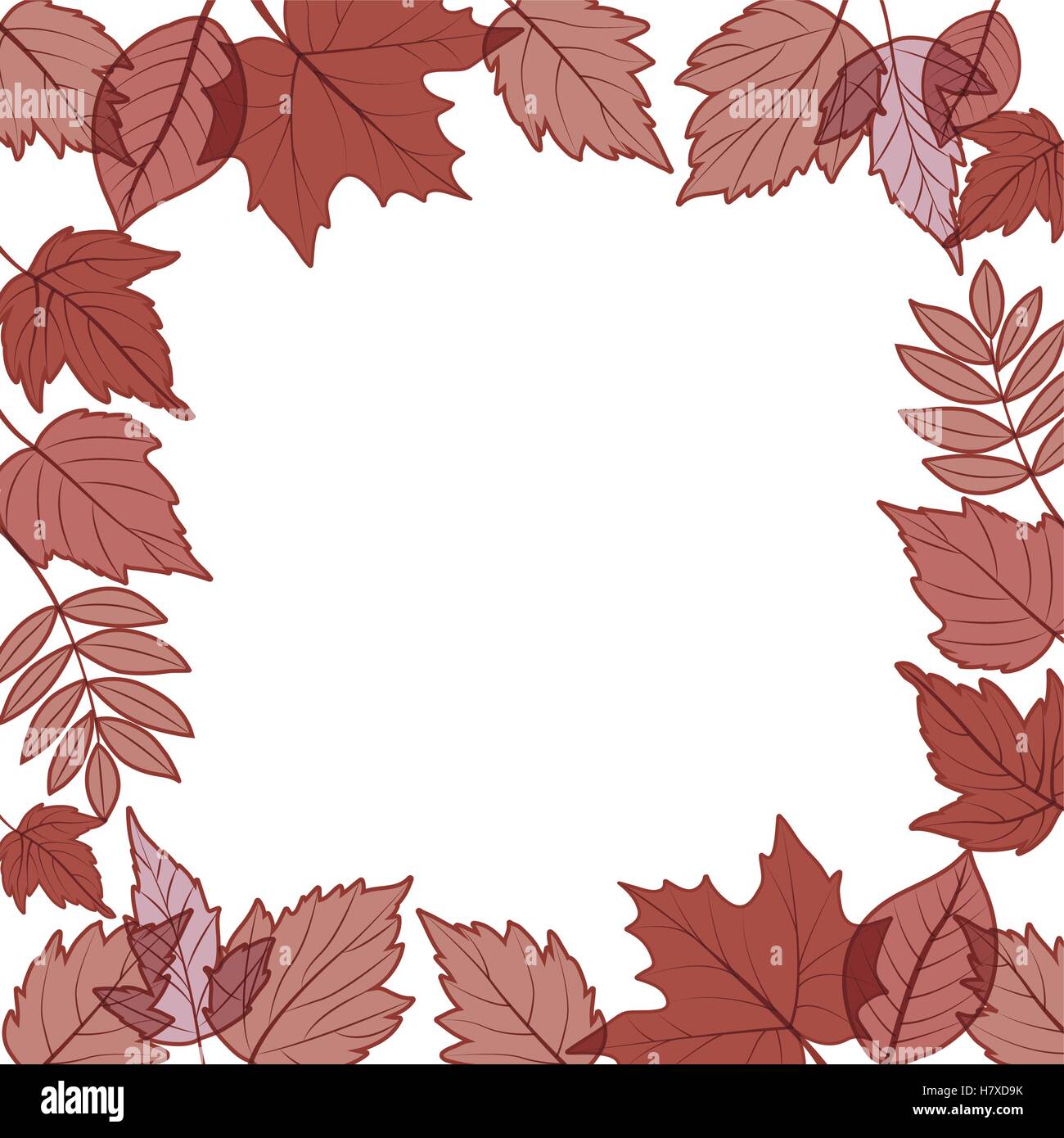 Leaves icon. Autumn season floral garden and nature theme. Frame design ...