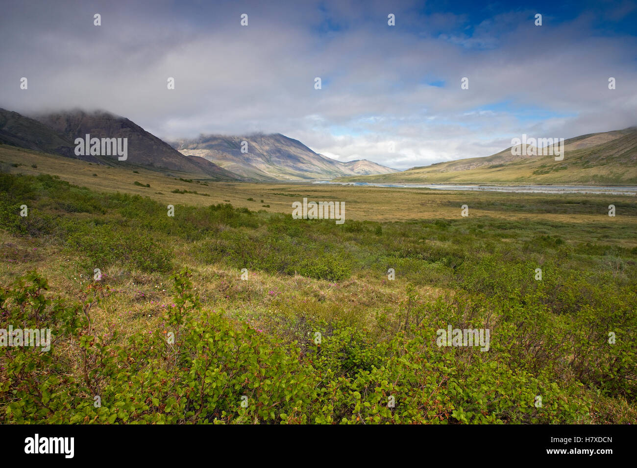 Valley at Kongakut River, Arctic National Wildlife Refuge, Alaska Stock ...