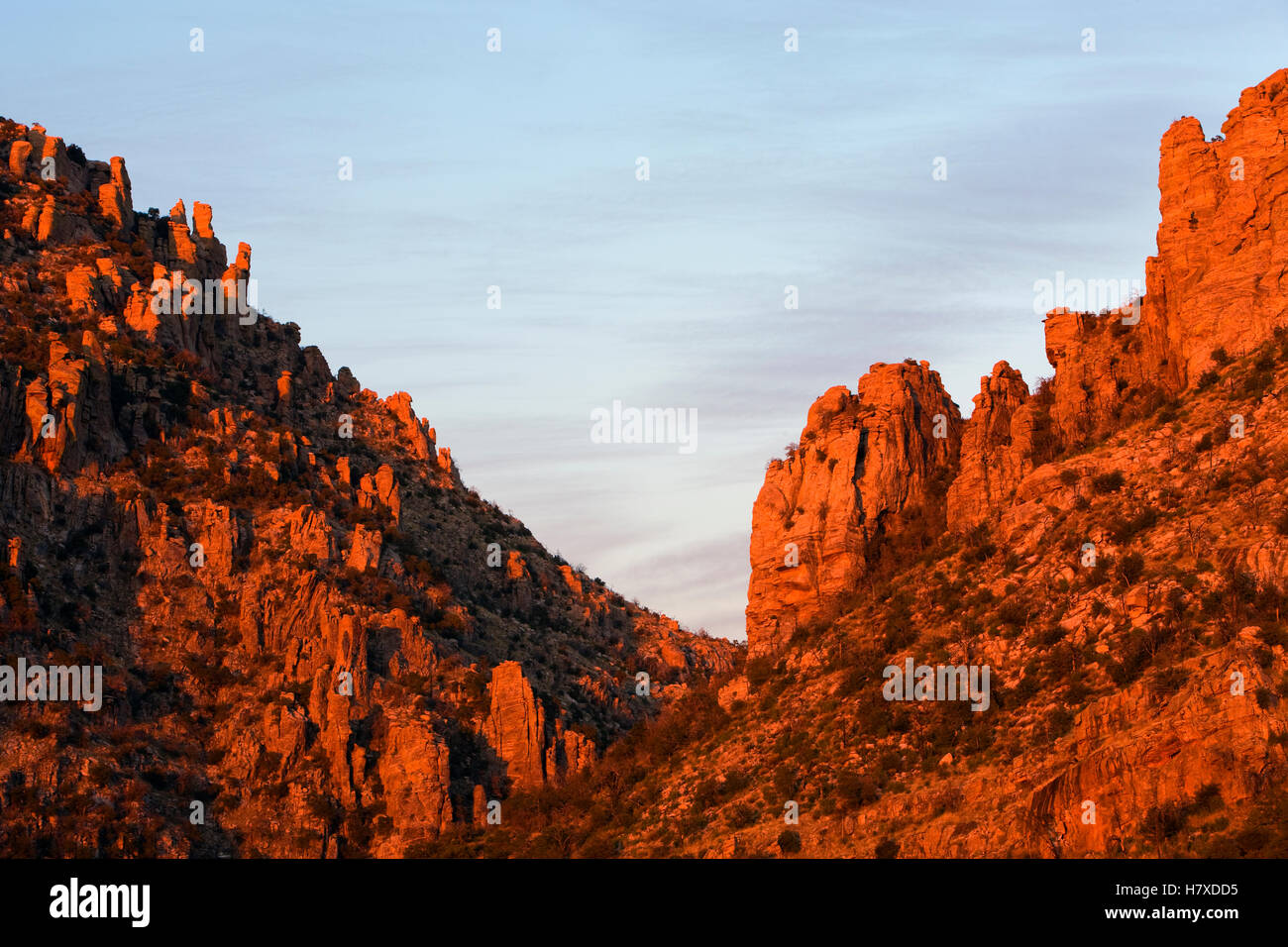 Canyon at sunset, Mount Lemmon, Coronado National Forest, Arizona Stock ...