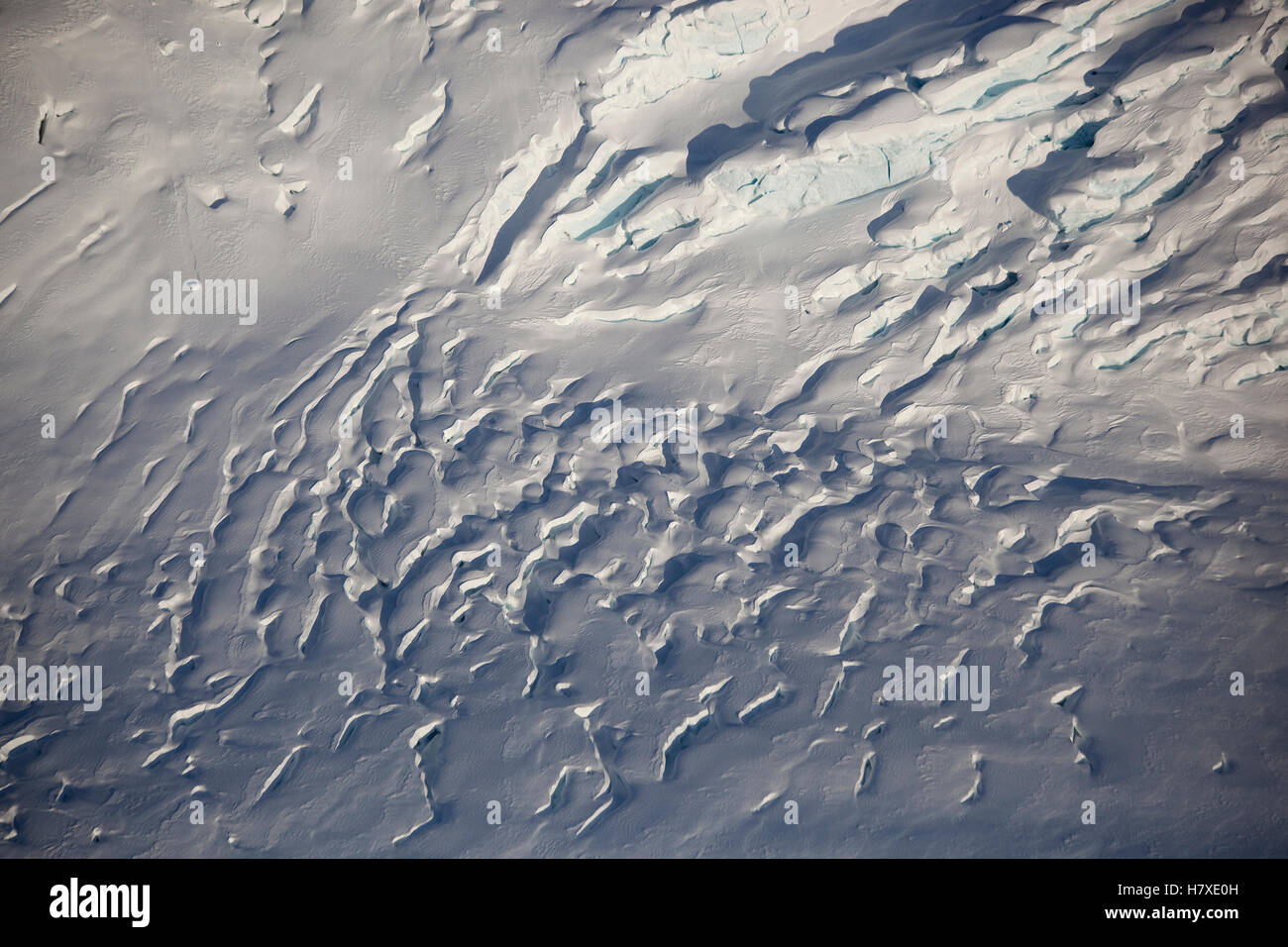 Stikine Icecap near Petersburg, Tongass National Forest, Alaska Stock ...