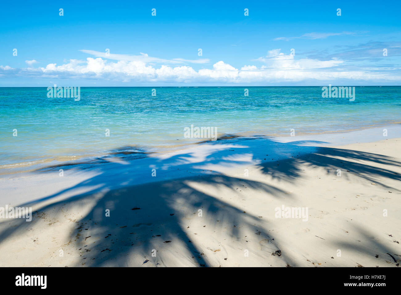 Palm trees cast shadows on wide remote tropical Brazilian island beach ...