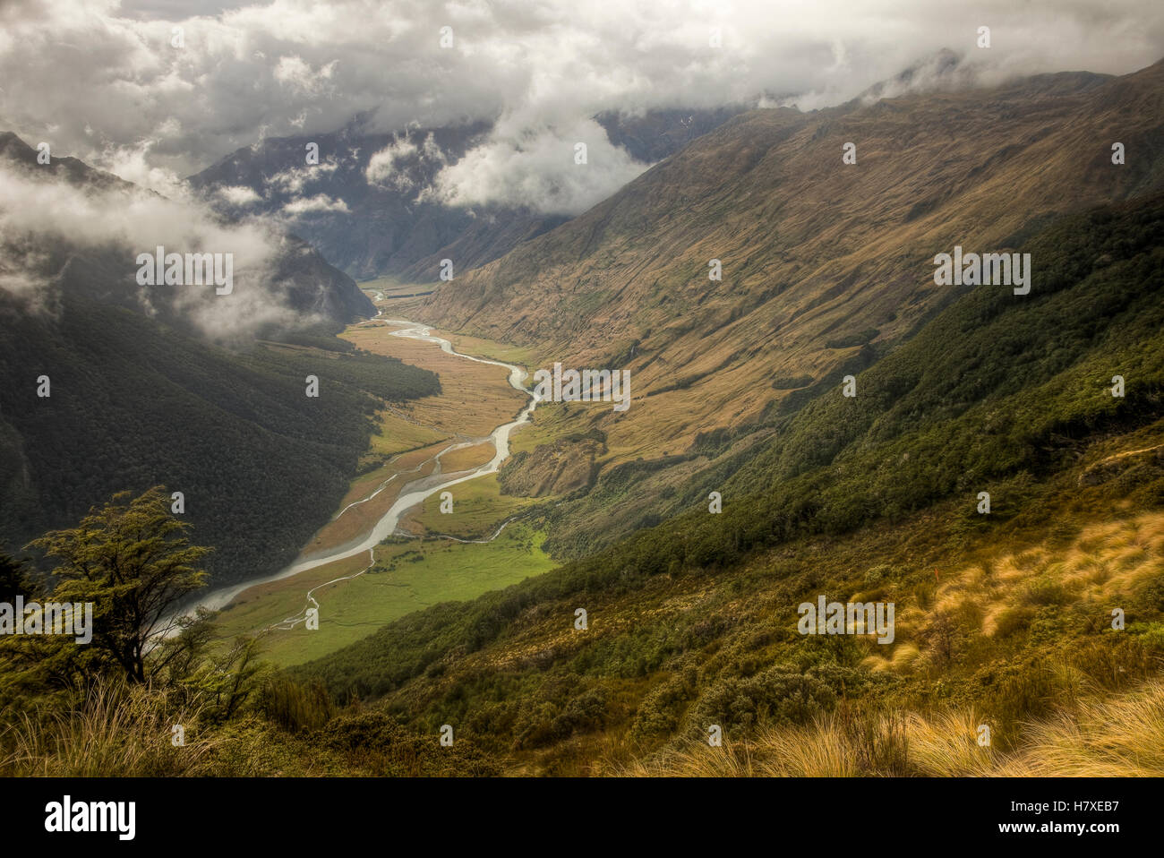 Matukituki Valley during summer rain, descent from Cascade Saddle ...