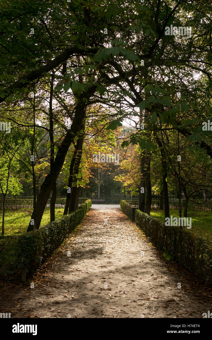 colorful peaceful path through the trees autumn Stock Photo - Alamy