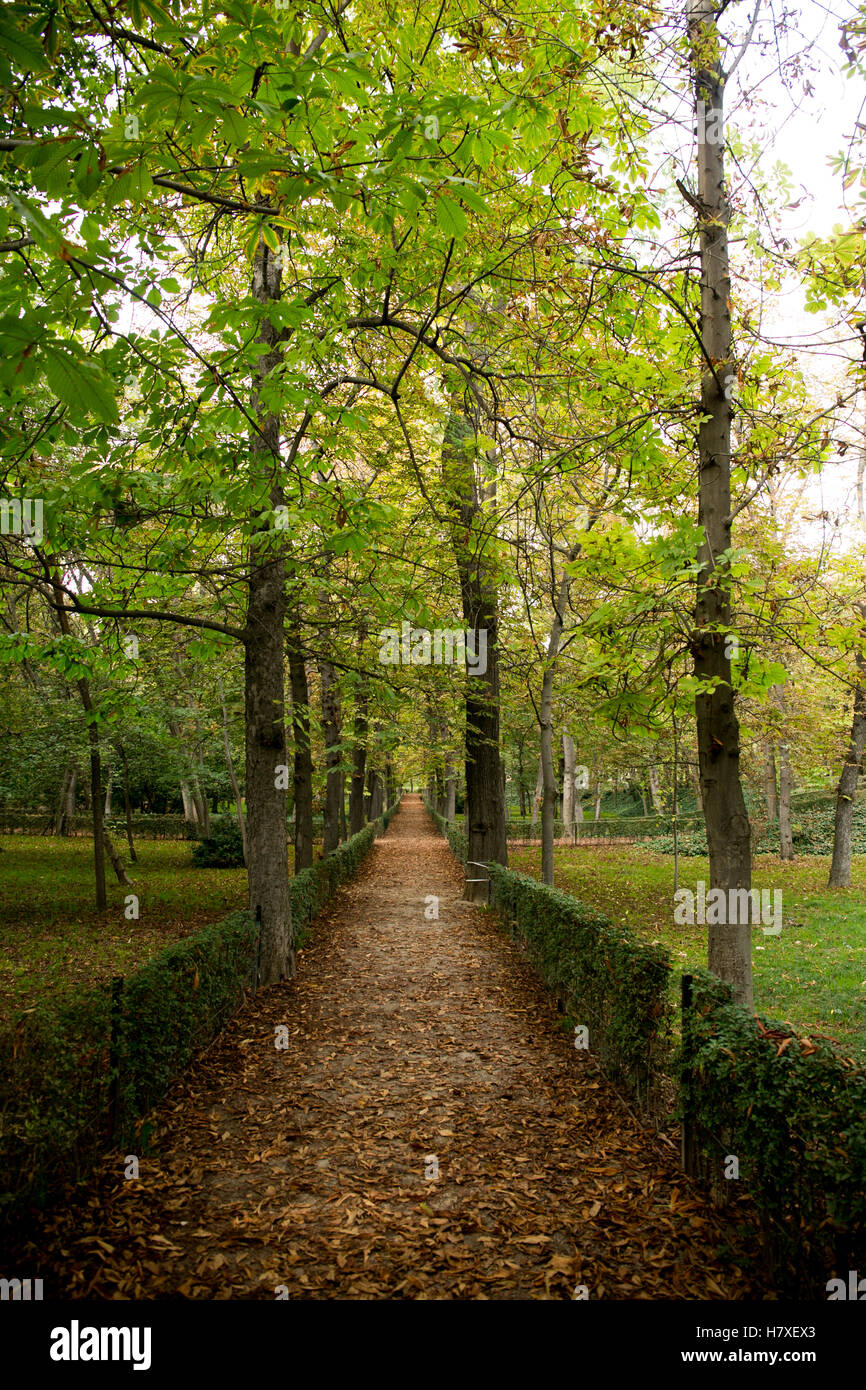 colorful peaceful path through the trees autumn Stock Photo - Alamy