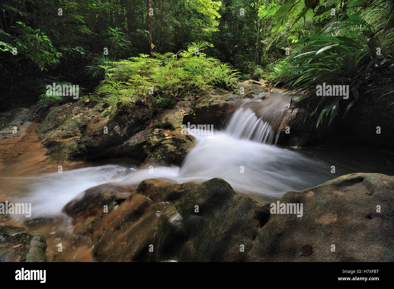 Small waterfall in rainforest interior, Lambir Hills National Park ...