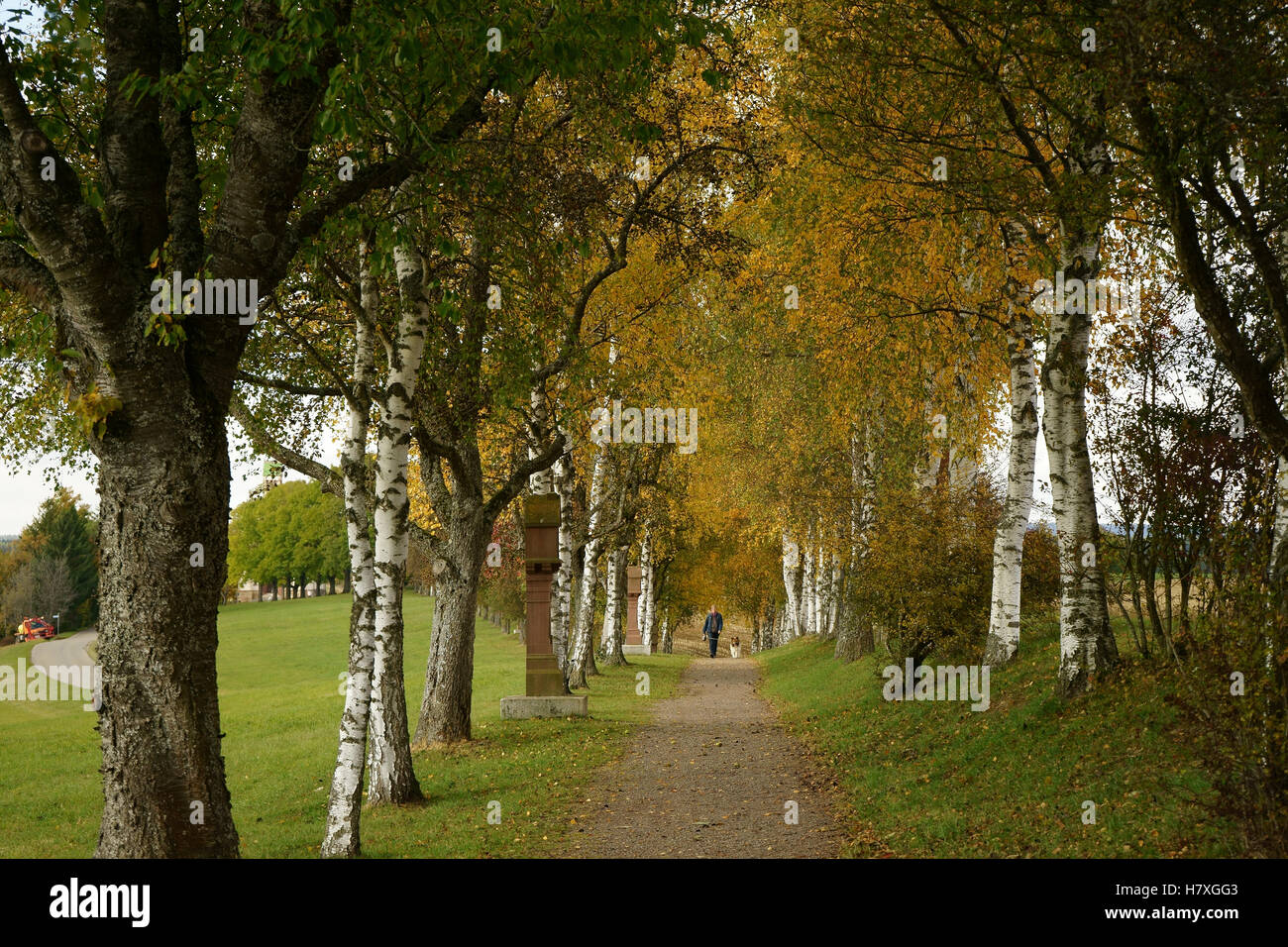 Dog person hi-res stock photography and images - Alamy