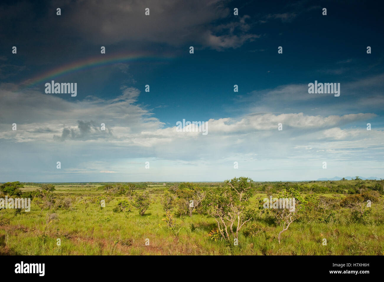 Rainbow over savannah, north Rupununi, Guyana Stock Photo - Alamy