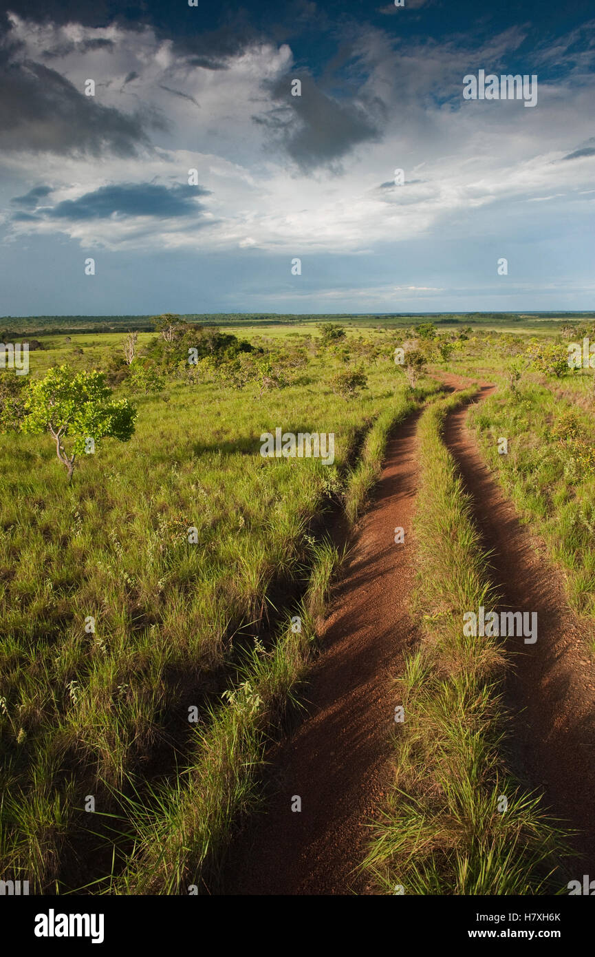 Road in savannah, north Rupununi, Guyana Stock Photo - Alamy