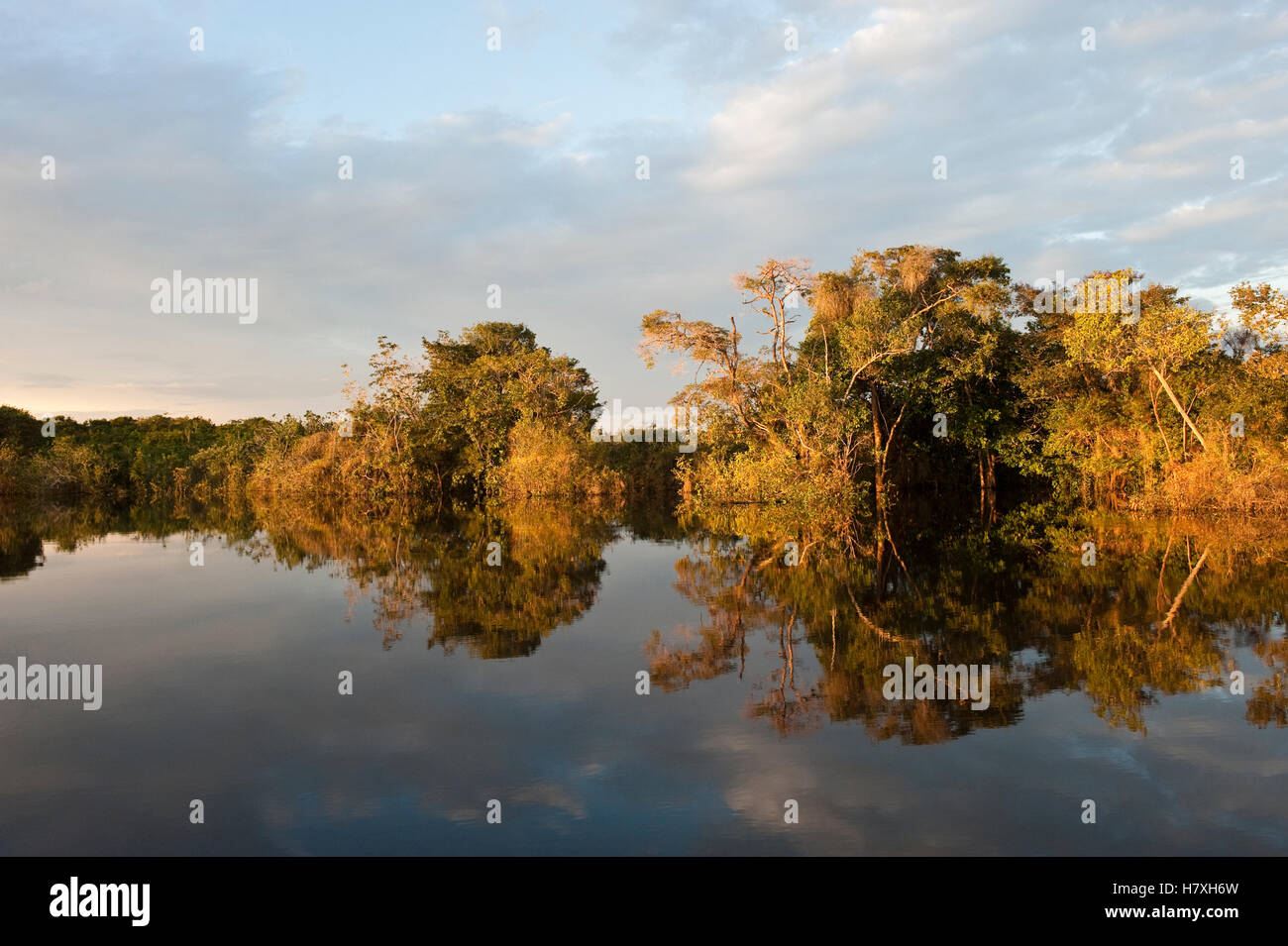 Permanent ponds in savannah, Rupununi, Guyana Stock Photo - Alamy