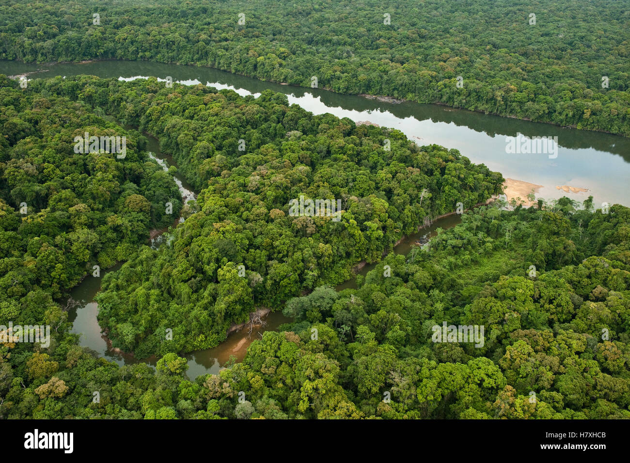 Essequibo River, Iwokrama Rainforest Reserve, Guyana Stock Photo - Alamy