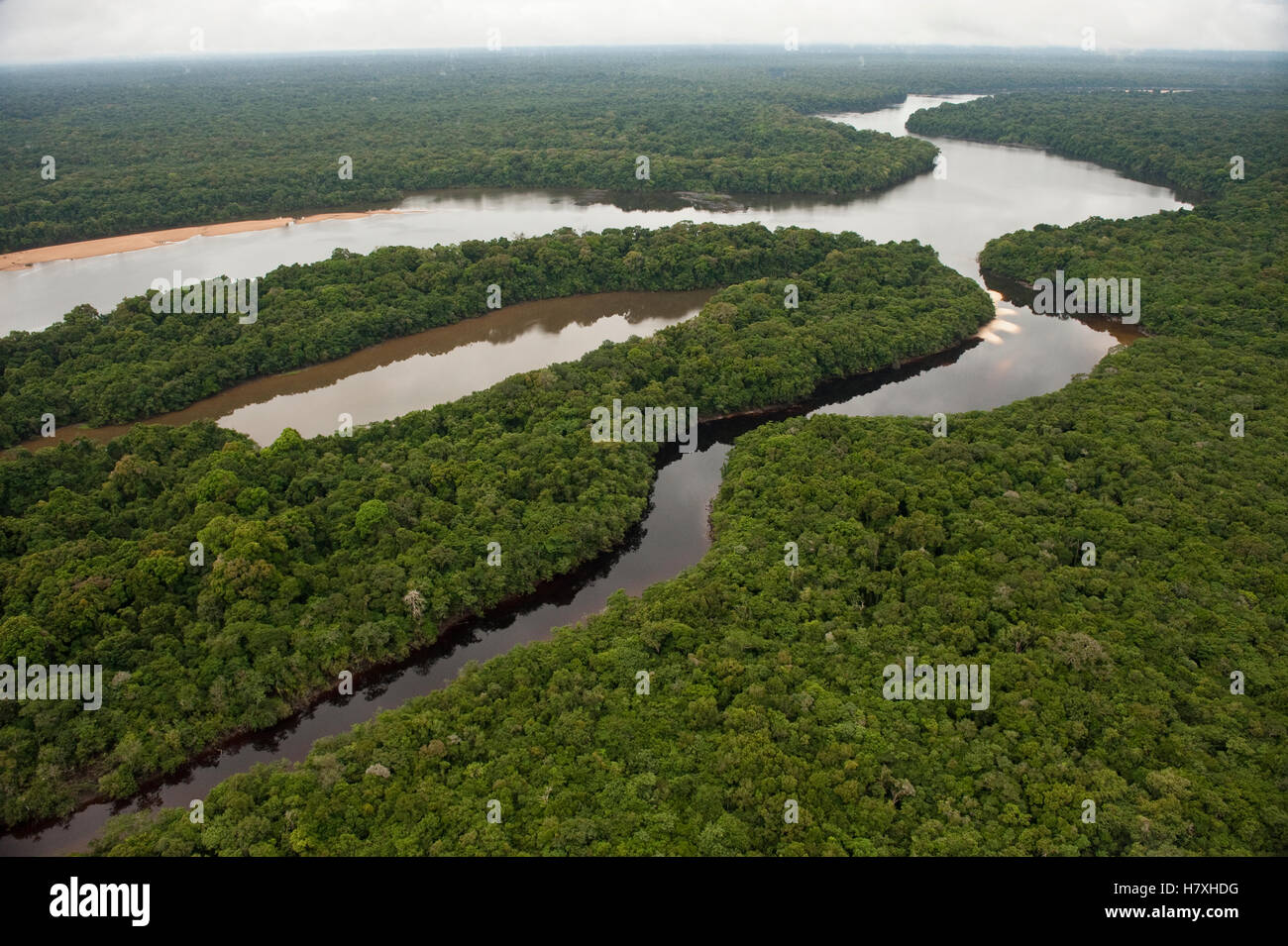 Essequibo River, Iwokrama Rainforest Reserve, Guyana Stock Photo - Alamy