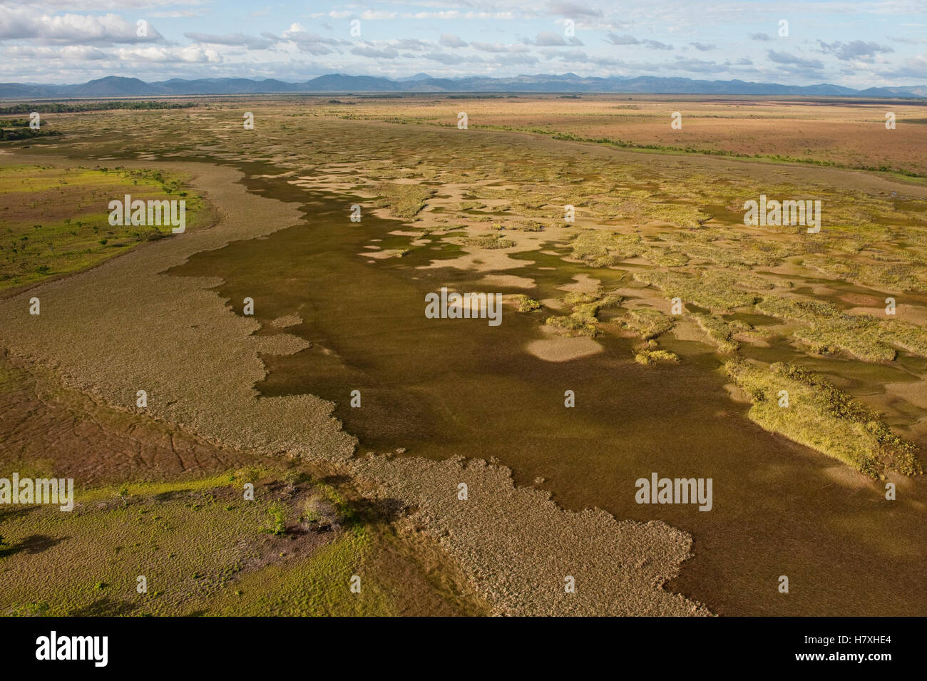Seasonally flooded savannah, north Rupununi, Guyana Stock Photo - Alamy
