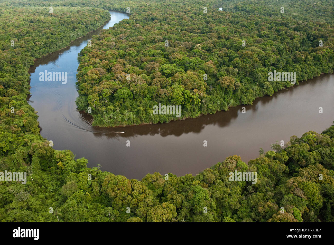Rainforest and Essequibo River, Iwokrama Rainforest Reserve, Guyana ...