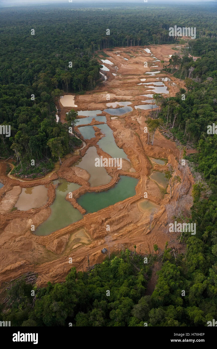 Alluvial gold guyana hi-res stock photography and images - Alamy