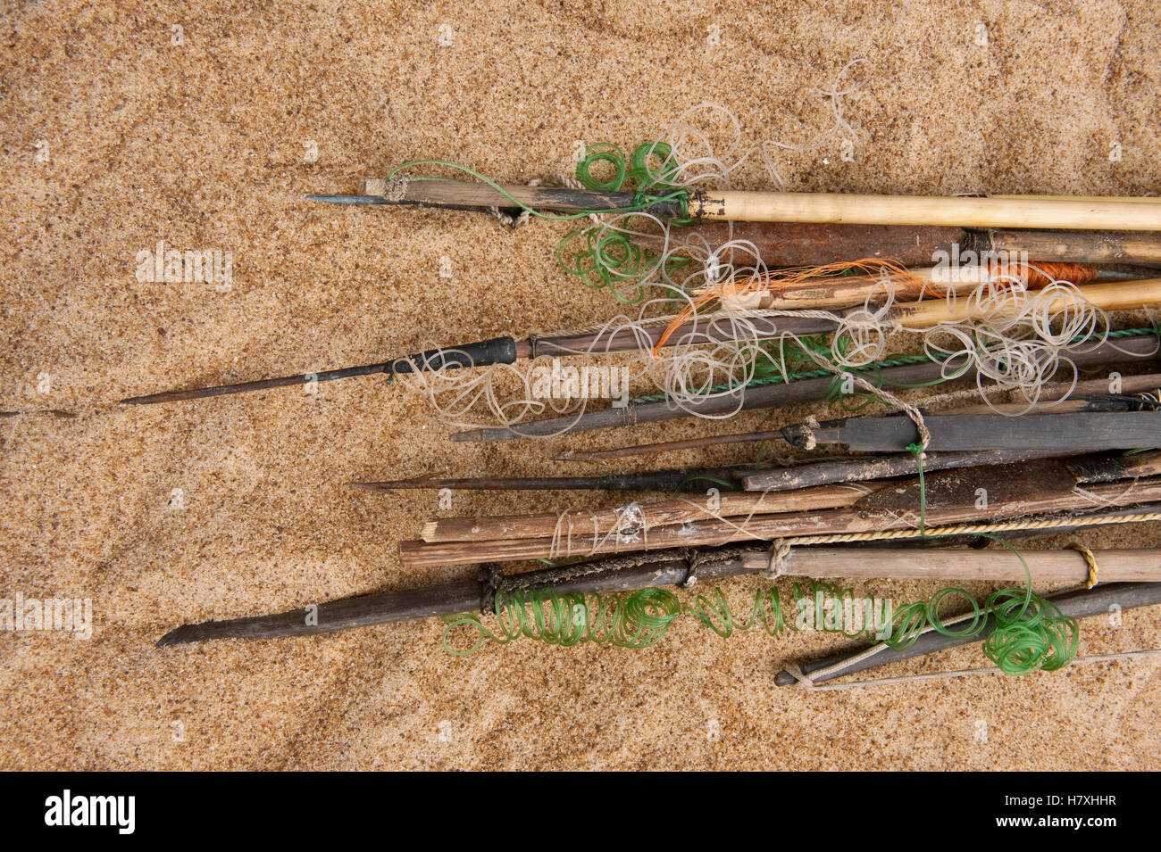 Fishing poles used by local fisherman, Rupununi, Guyana Stock Photo - Alamy