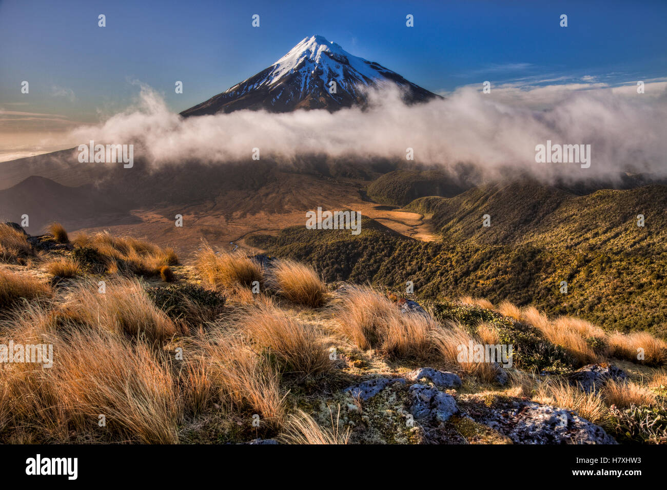 Mount Taranaki from Pouakai Range, New Zealand Stock Photo - Alamy