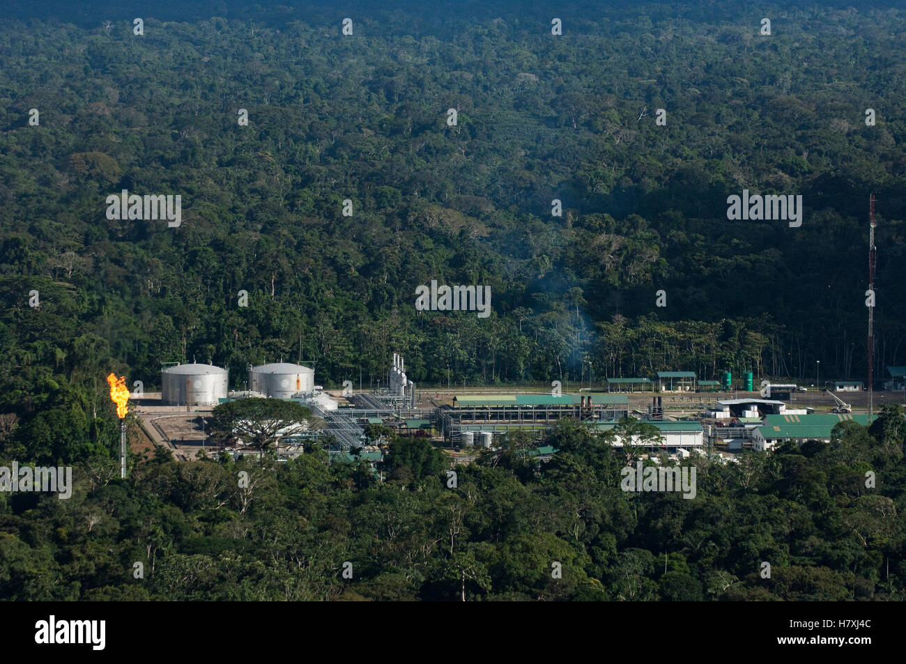 Oil camp in rainforest within Yasuni National Park, Amazon, Ecuador ...
