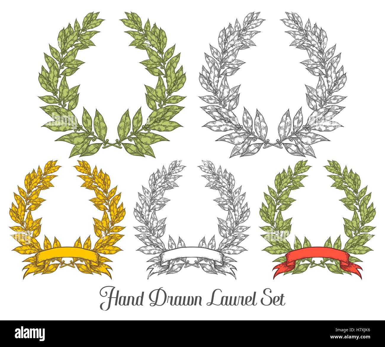 Laurel set with red ribbon Bay leaf Hand drawn vector illustration ...