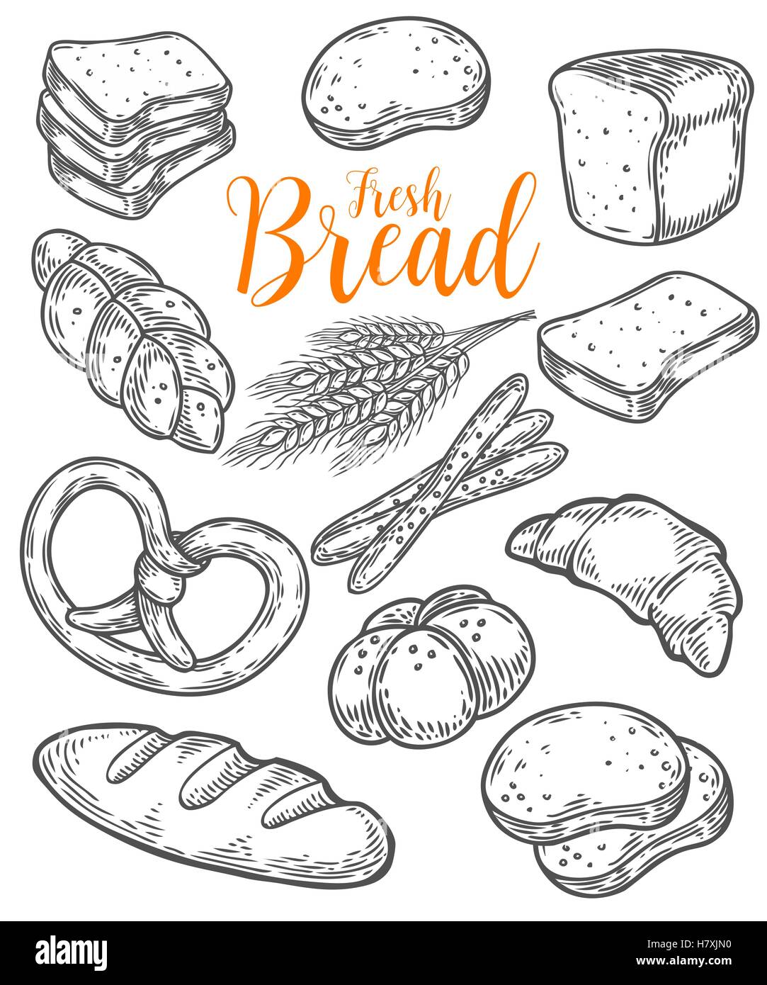 Bread vector hand drawn set illustration. Other types of wheat, flour ...