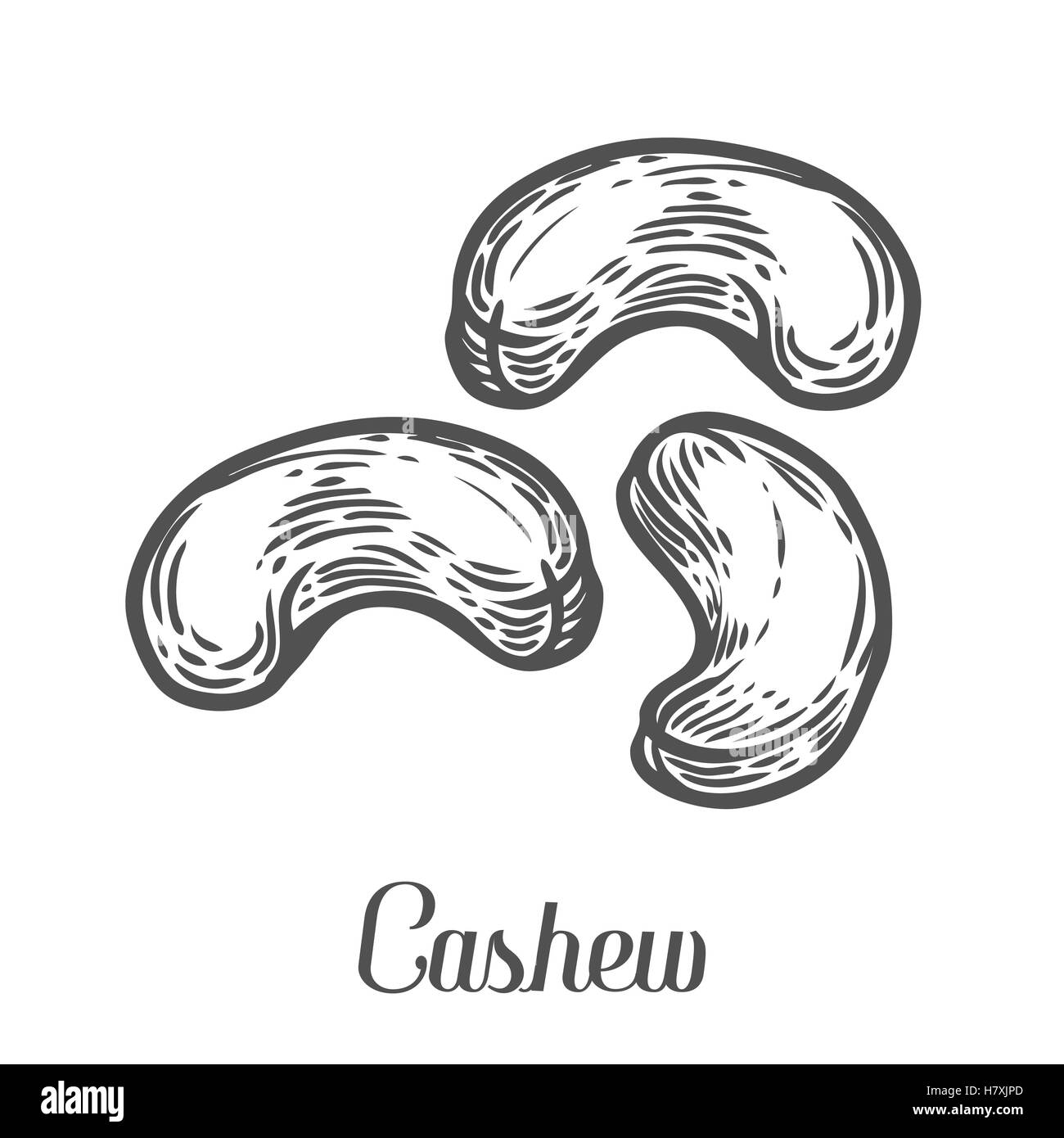 Dried brown plant in Stock Vector Images - Alamy