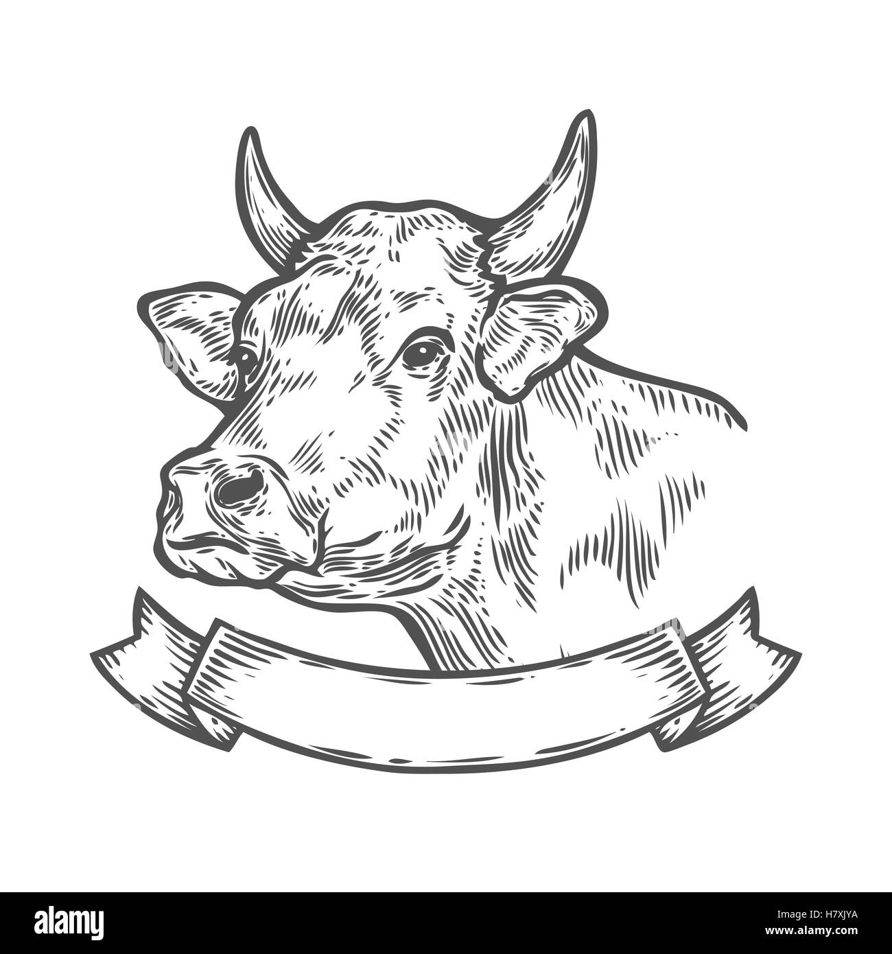 Beef Cow Head Clip Art