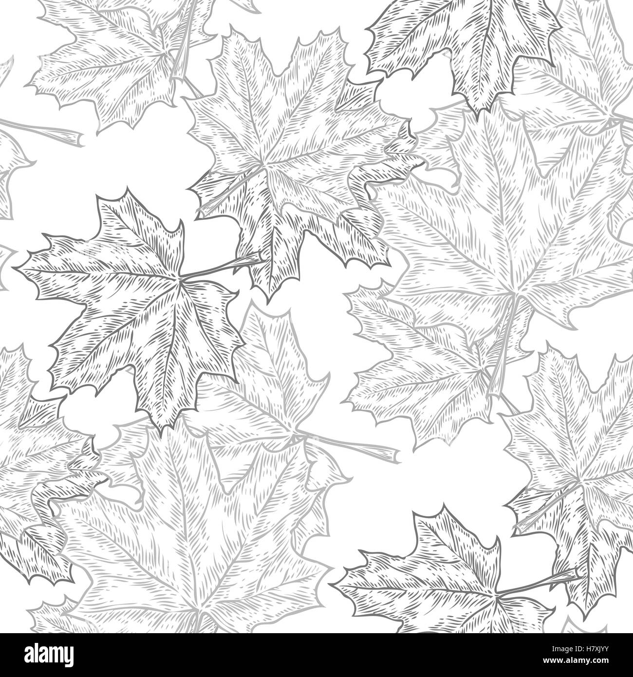 Autmn leaf Stock Vector Images - Alamy