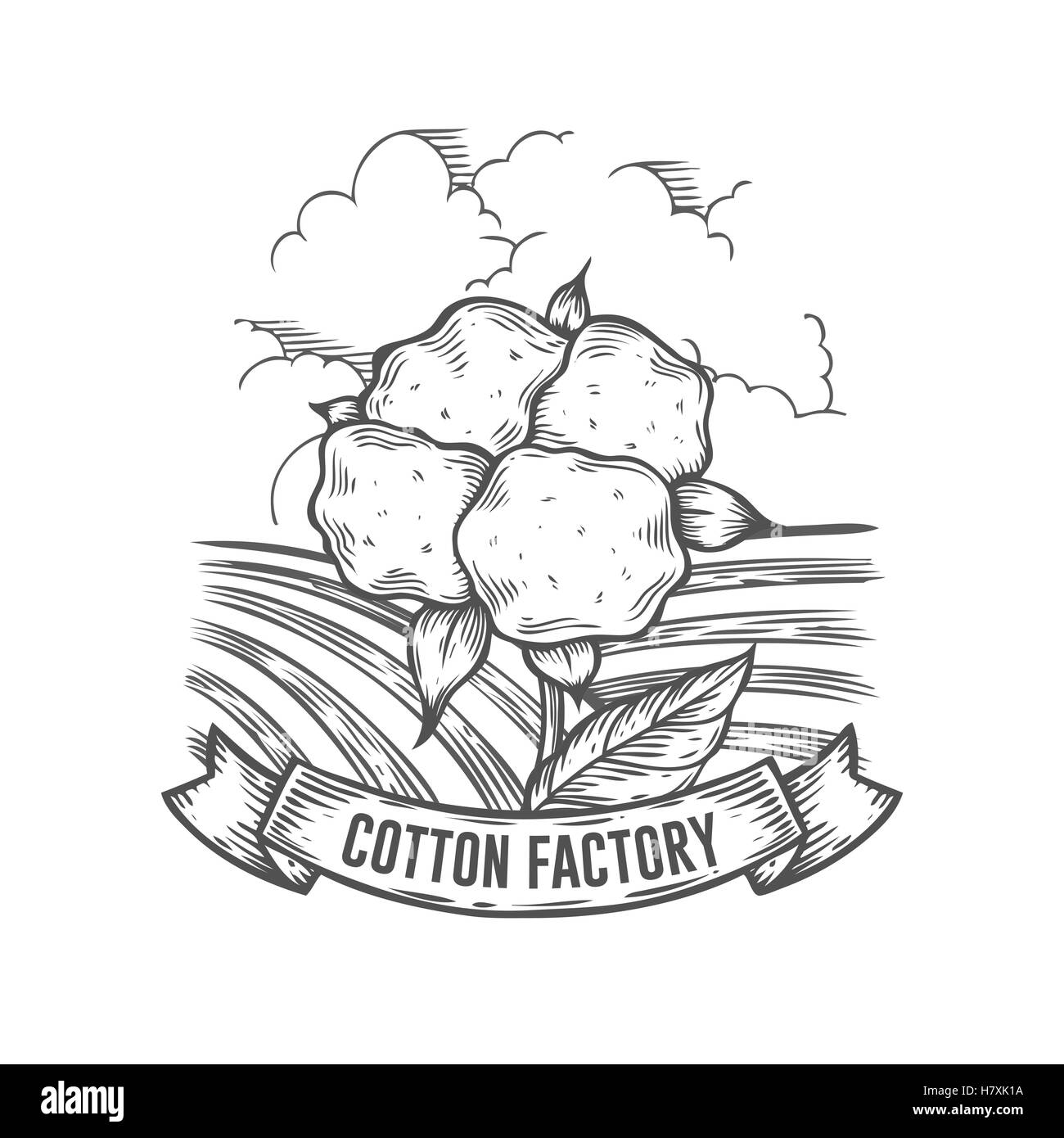 Cotton farm badge. Monochrome vintage engraving cotton flower sign ...