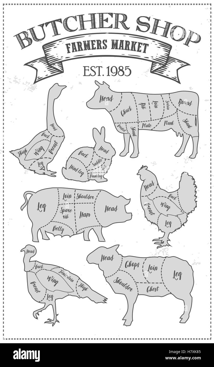 Retro style label chalk Stock Vector Images - Alamy