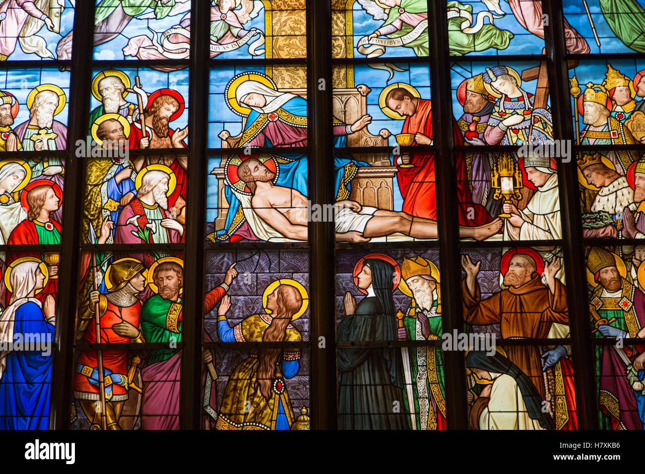 Stained glass window of Cathedral of Our Lady, Antwerp, Flanders ...