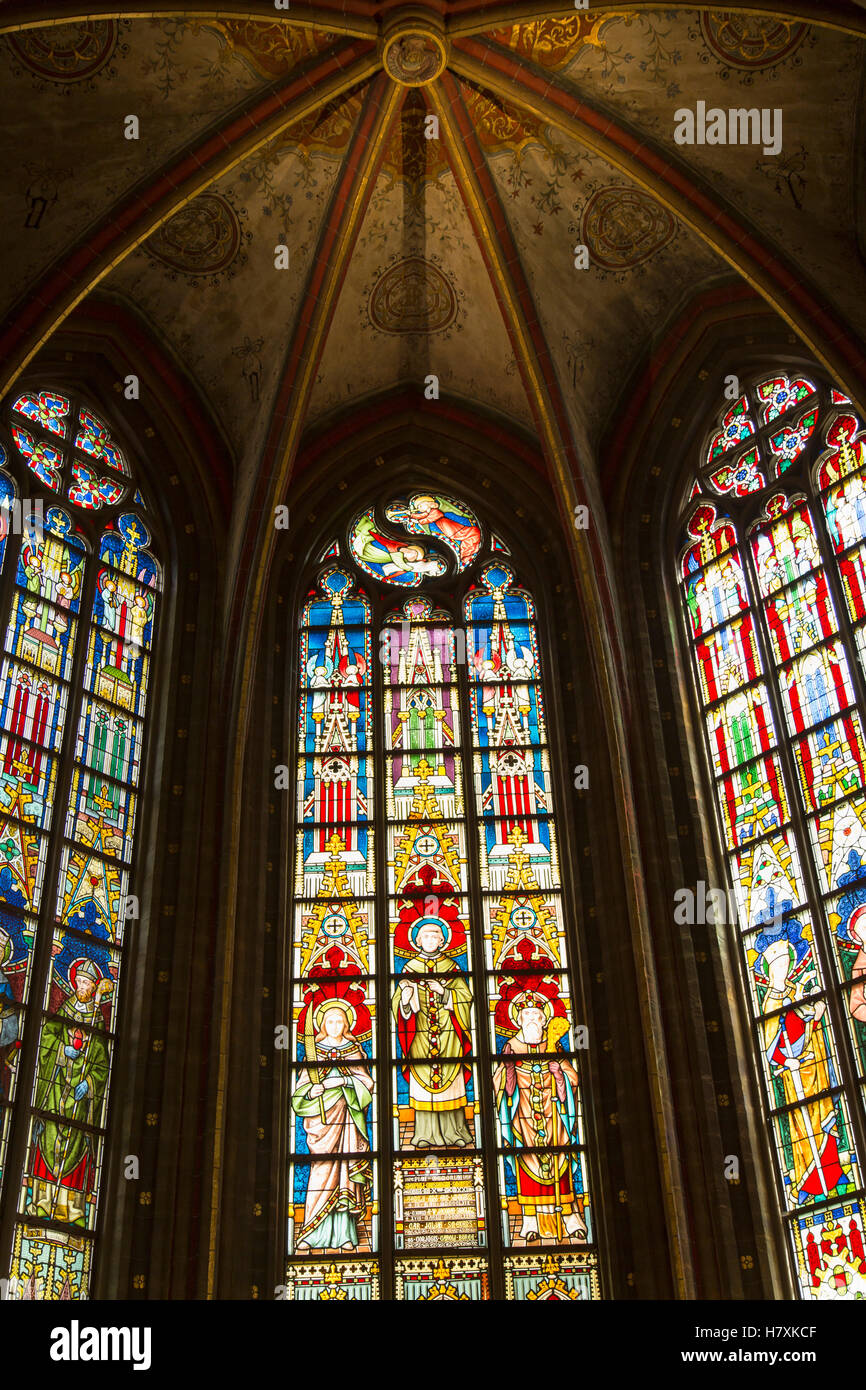 Stained glass window of Cathedral of Our Lady, Antwerp, Flanders ...