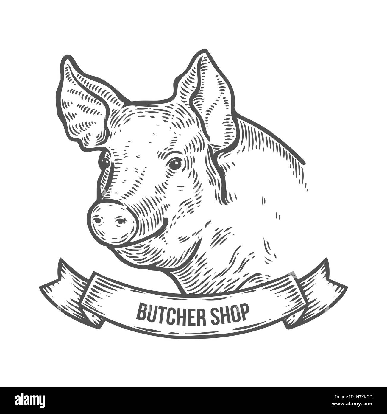 Pig head Butcher shop. Hand drawn sketch in a graphic style. Vintage ...