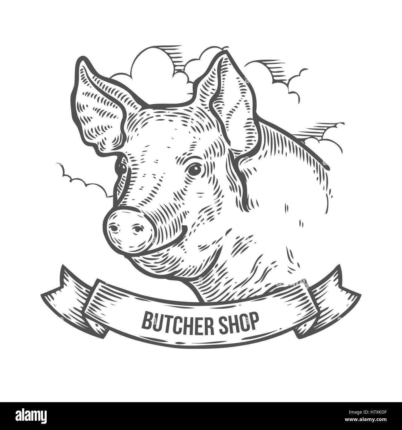 Pig head Butcher shop. Hand drawn sketch in a graphic style. Vintage ...