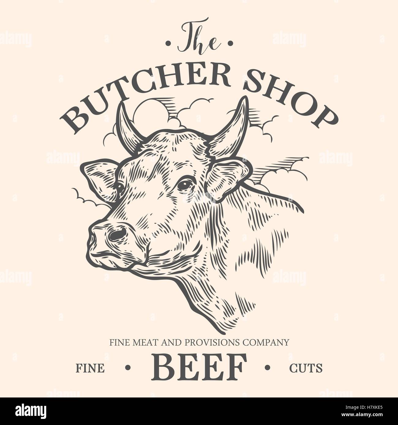 Cow head, Fresh beef organic meat. Hand drawn sketch in a graphic style ...
