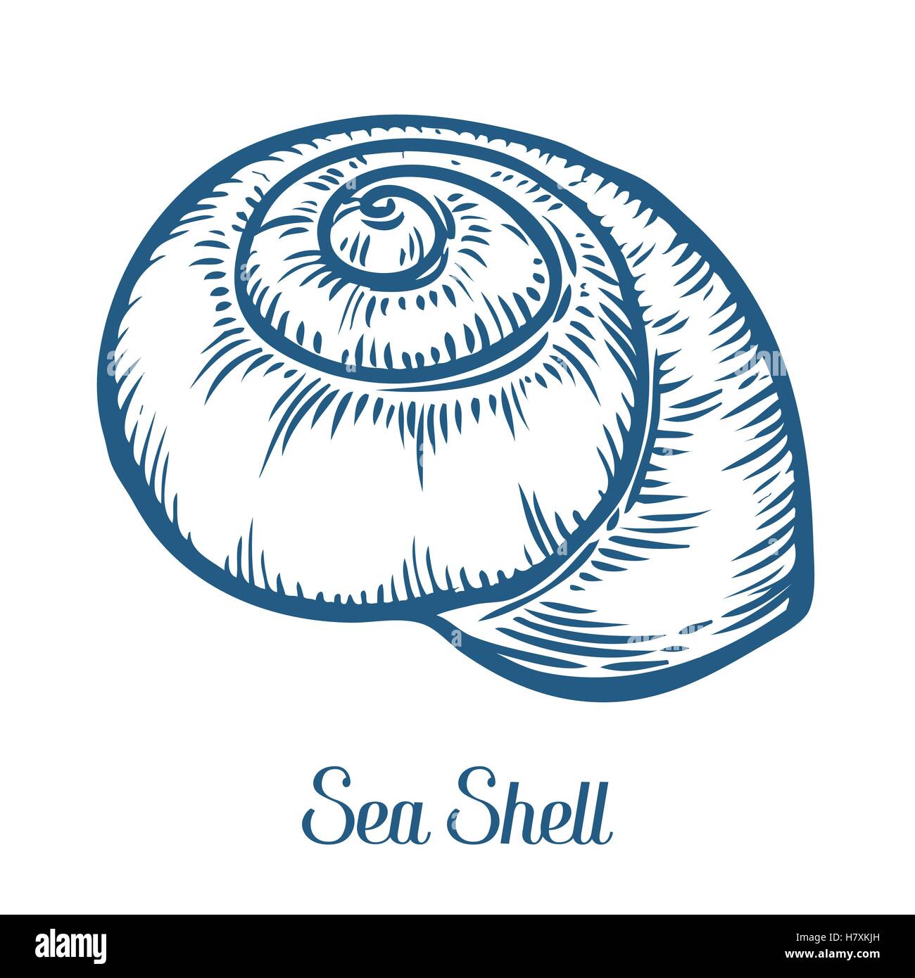 Nautilus shell icon vector vectors hi-res stock photography and images ...
